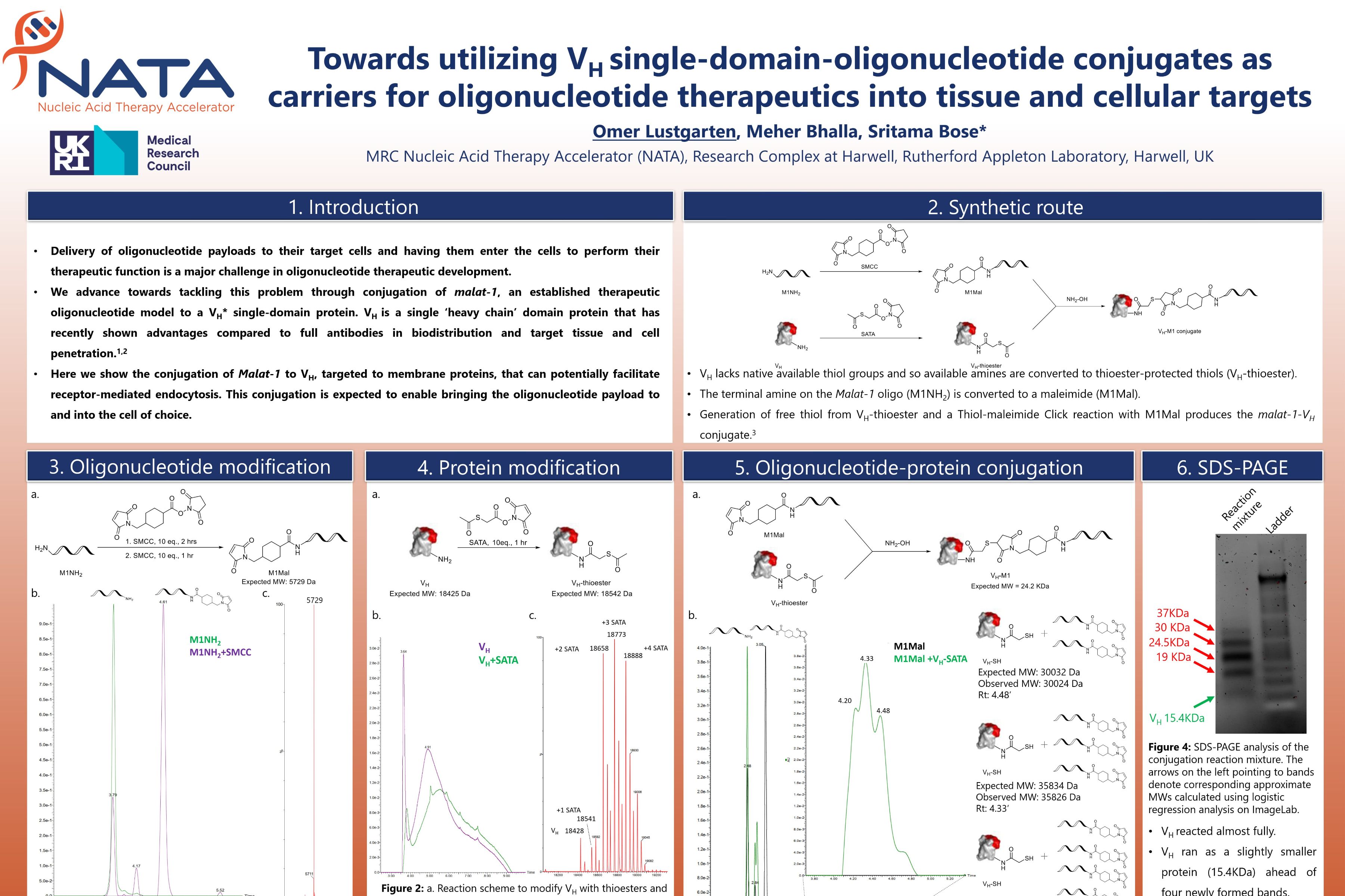 Towards utilizing VH single-domain-oligonucleotide conjugates as ...