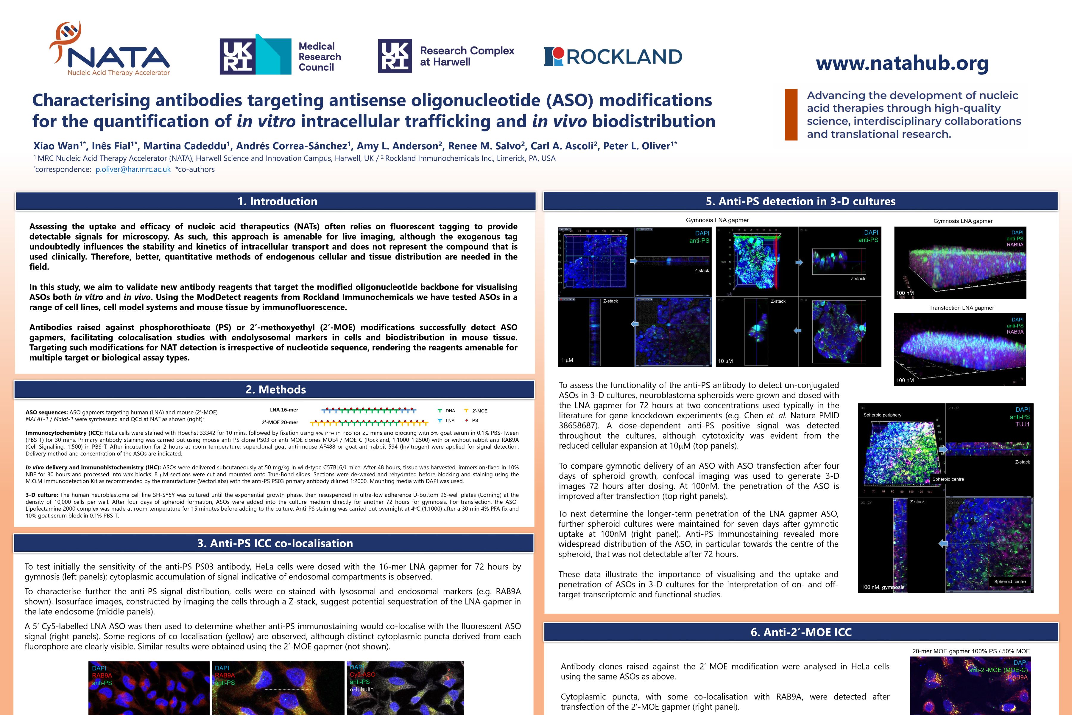 Characterising antibodies targeting antisense oligonucleotide (ASO ...
