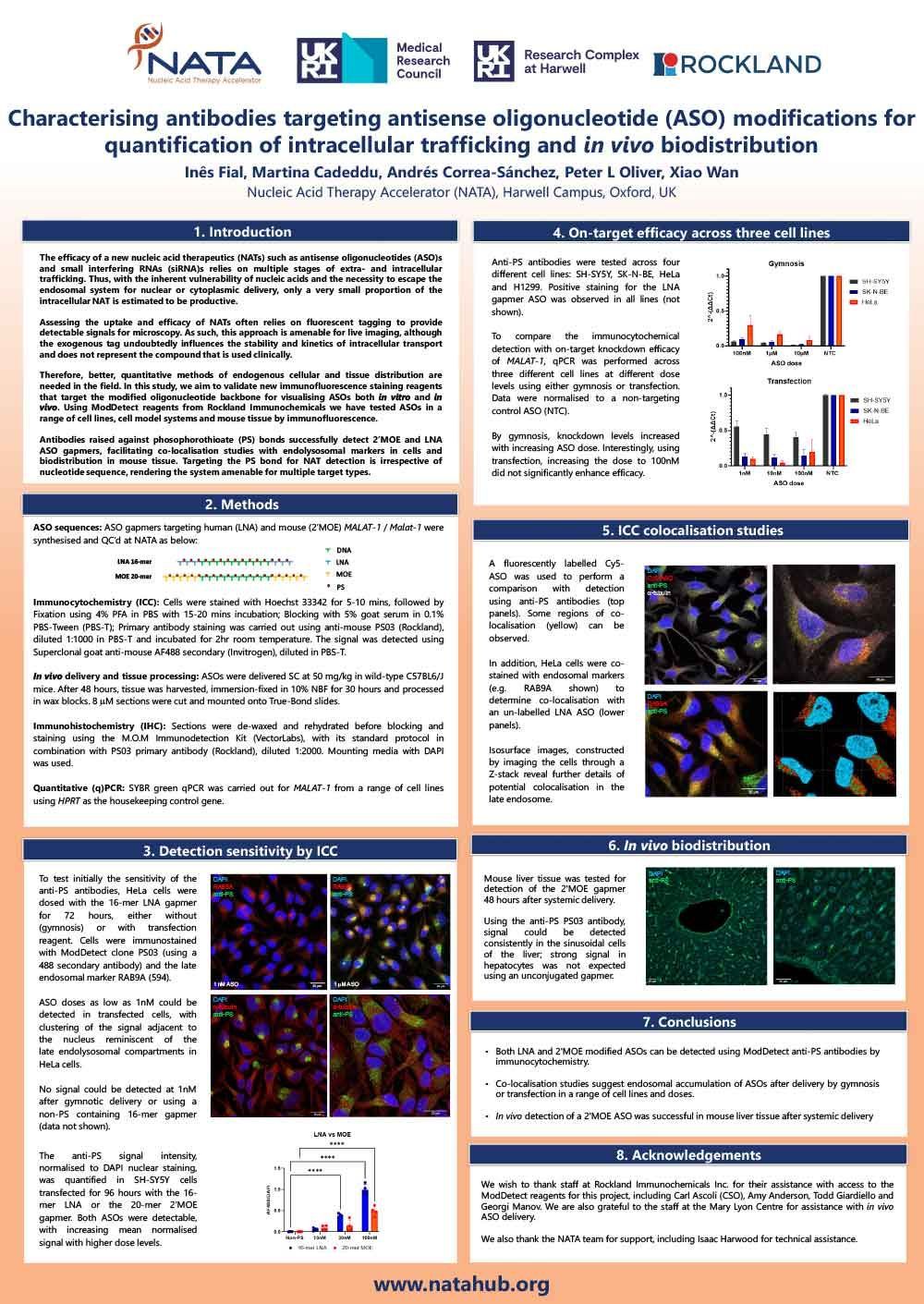 Characterising antibodies targeting antisense oligonucleotide (ASO ...
